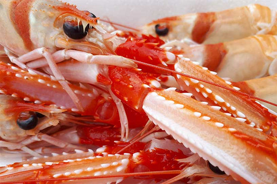 Cigala de Huelva – La Despensa del Mar