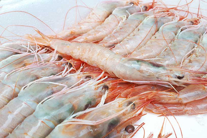 MARISCO A DOMICILIO – La Despensa del Mar